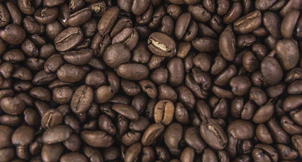 FLAVIA® CREATION 600 Coffee and Tea Brewer Machine – MyFlavia by Lavazza