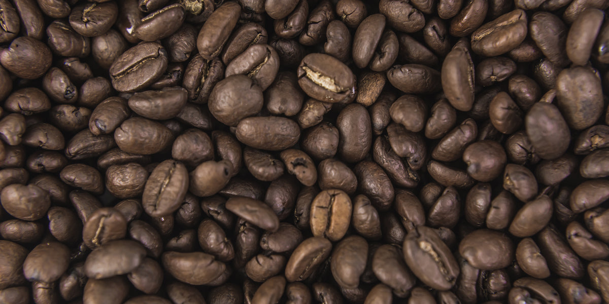 FLAVIA® CREATION 600 Coffee and Tea Brewer Machine – MyFlavia by Lavazza