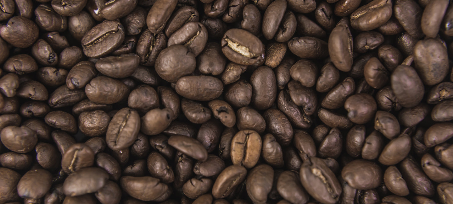 FLAVIA® CREATION 600 Coffee and Tea Brewer Machine – MyFlavia by Lavazza